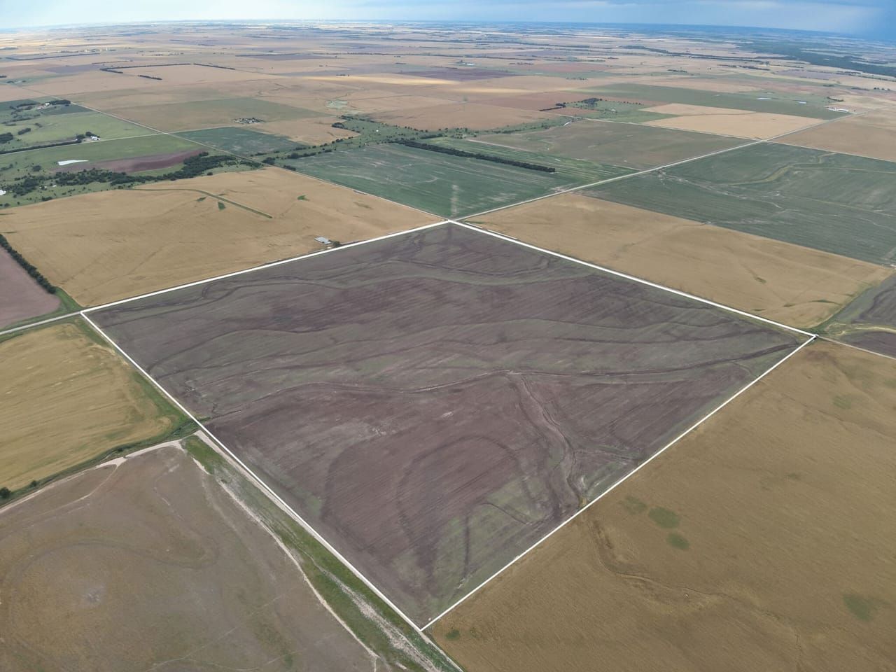 00000 S. Argonia Rd, Argonia, KS 67004 | LandWatch