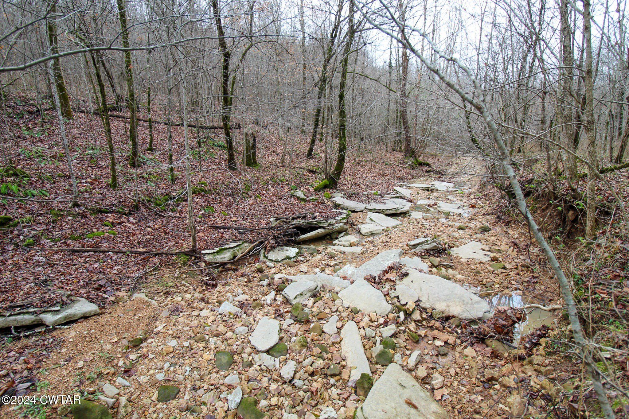 00 Elvis Inman Road, Linden, TN 37096 | MLS: 247663 | LandWatch