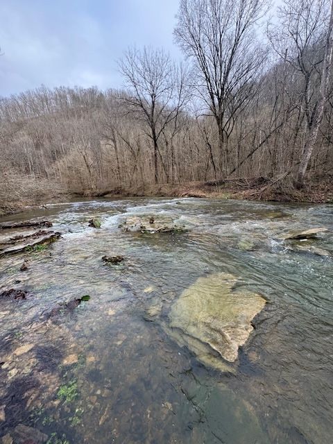 Brimestone Creek Road, Moss, TN 38575 | LandWatch