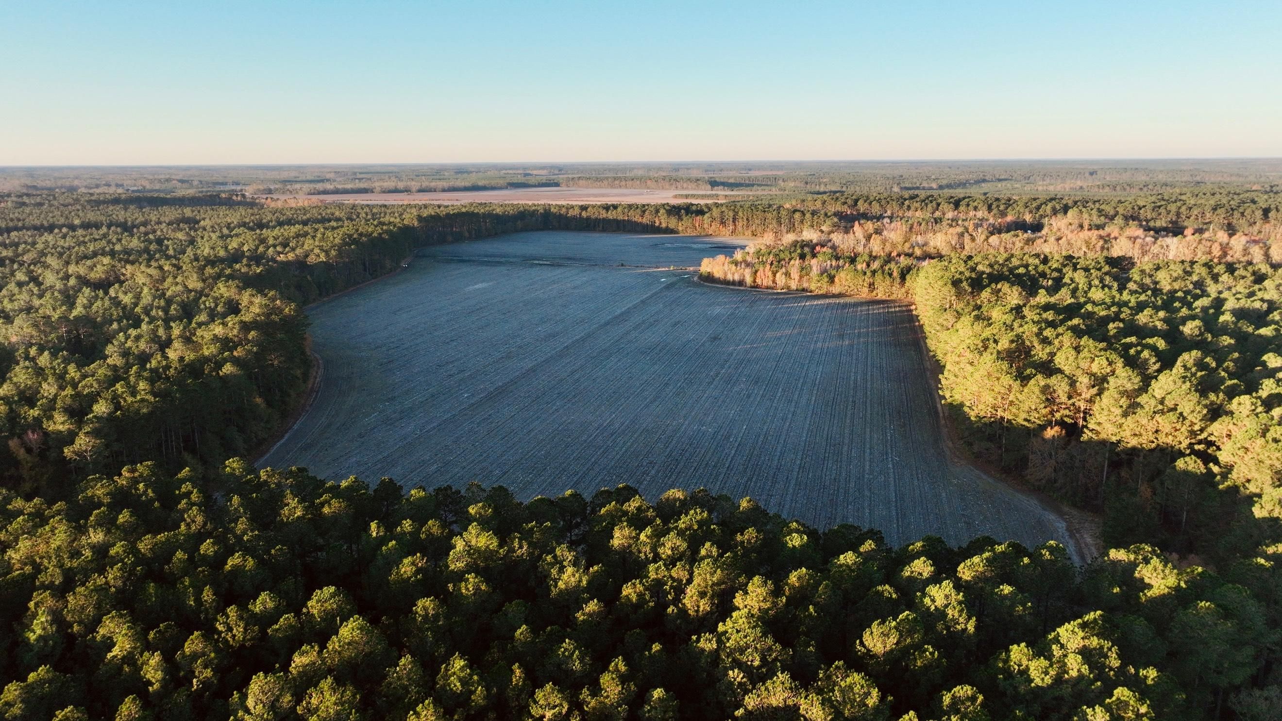 4500 Columbia Hwy, Luray, SC 29932 | LandWatch