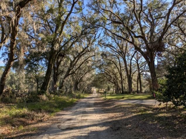 13.32 acres in Lake Butler, FL, 32054 | LandWatch