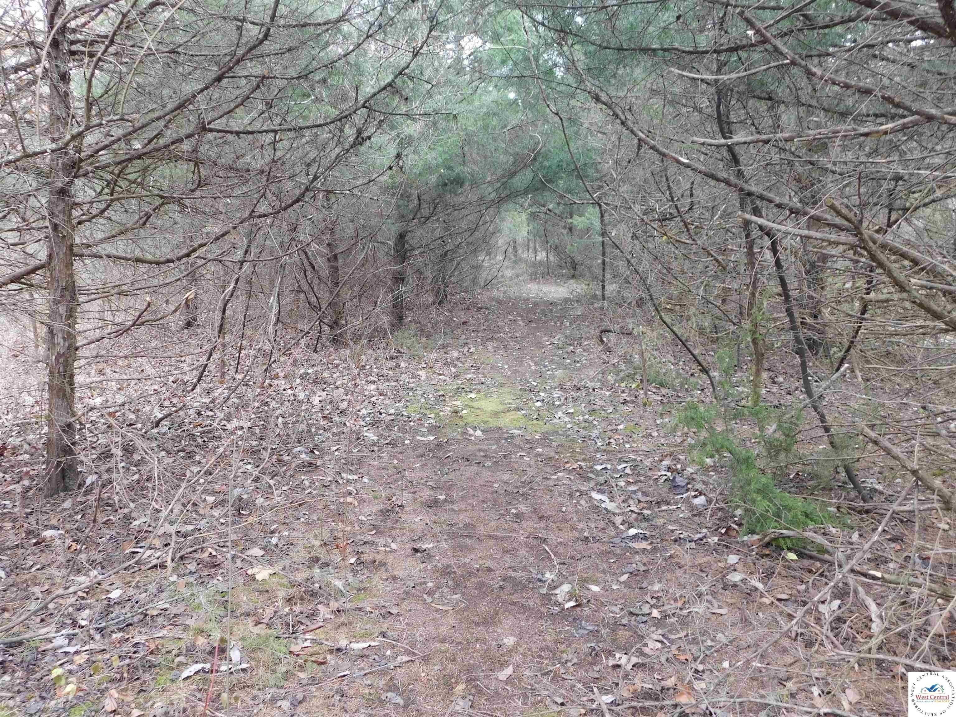 128 SW #2 Hwy, Chilhowee, MO 64733 | MLS: 99204 | LandWatch