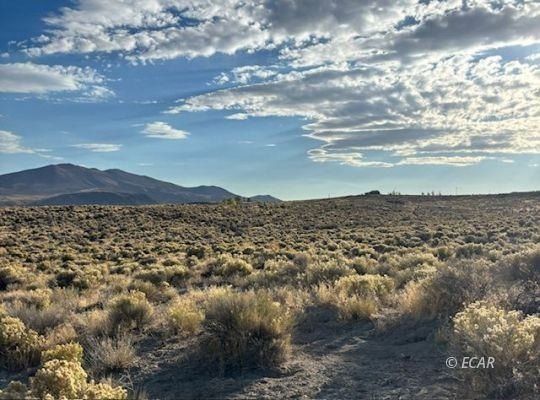 TBD Johnson Ave, Ryndon, NV 89801 | MLS: 3625483 | LandWatch