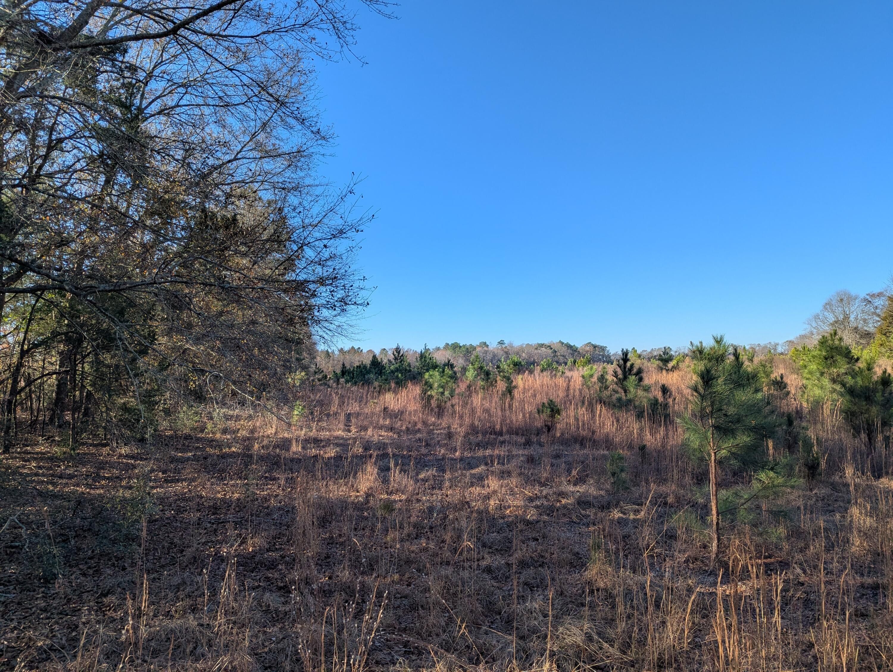 00 Nantuckett Road, Salley, SC 29137 | MLS: 215088 | LandWatch