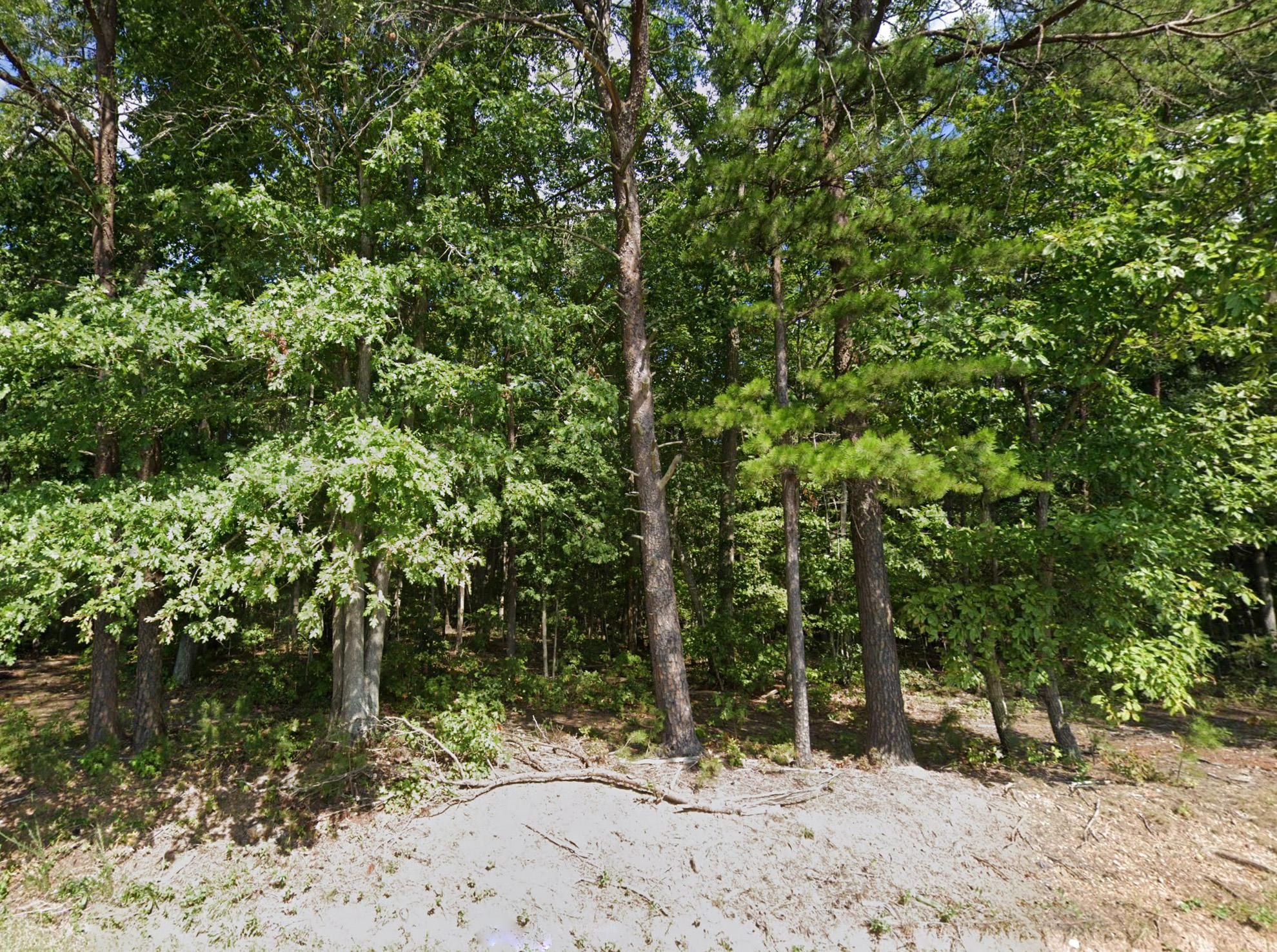 New Hampshire Rd, Rhoadesville, VA 22542 | LandWatch