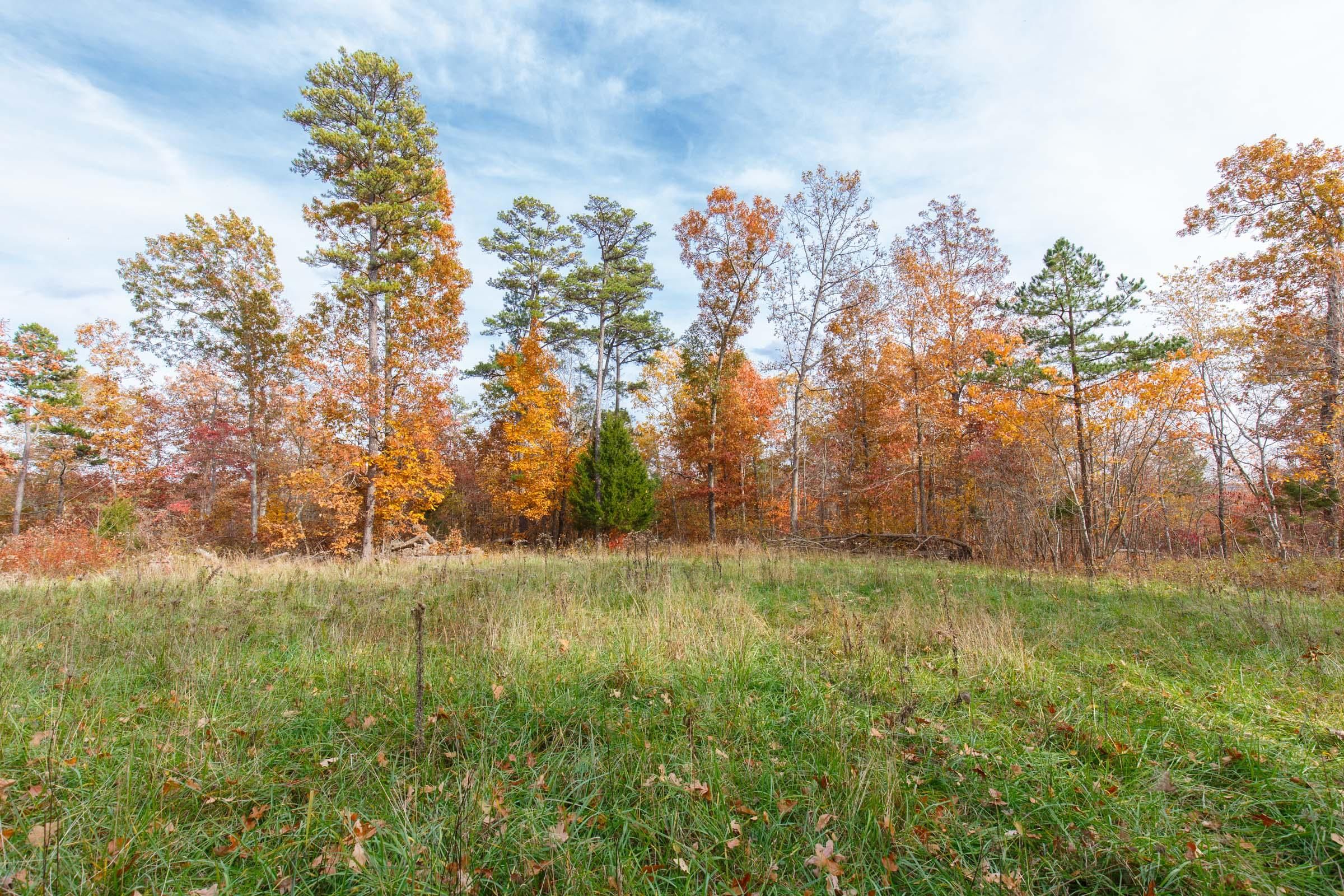 7.82 acres in Redford, MO, 63665 | LandWatch