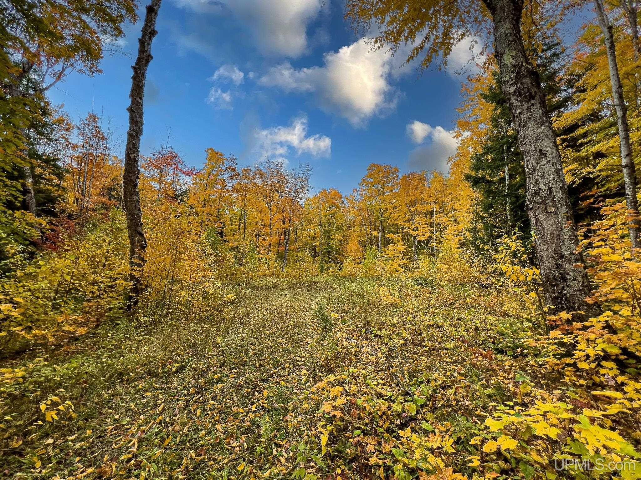 On Chaney Lake, Bessemer, MI 49911 | MLS: 50163543 | LandWatch