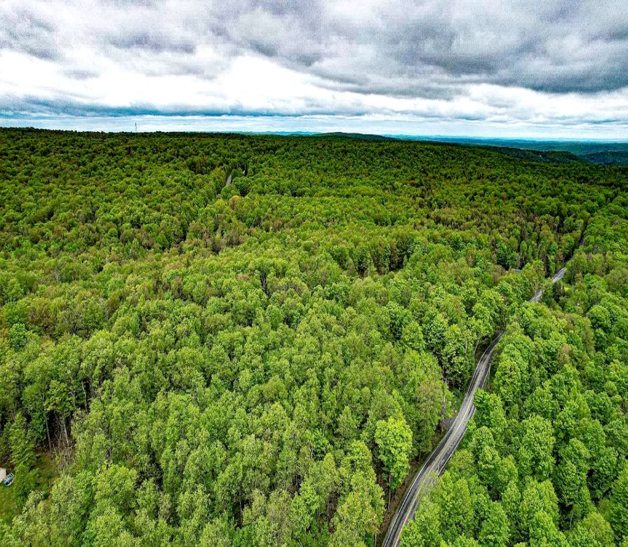 Ruff Rd, Canadensis, PA 18325 | LandWatch