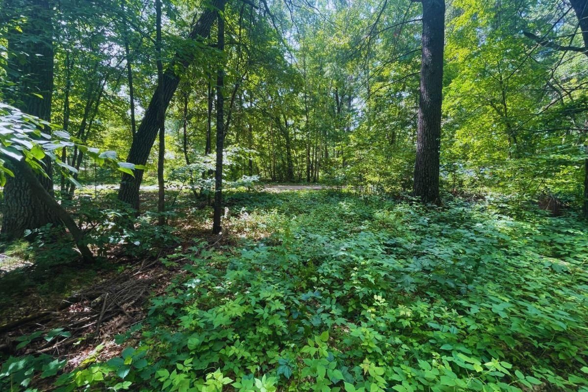 Diamond Dr, Cushing, MN 56443 | MLS: Morrison 0.69 Acres, 08.1163.000 ...