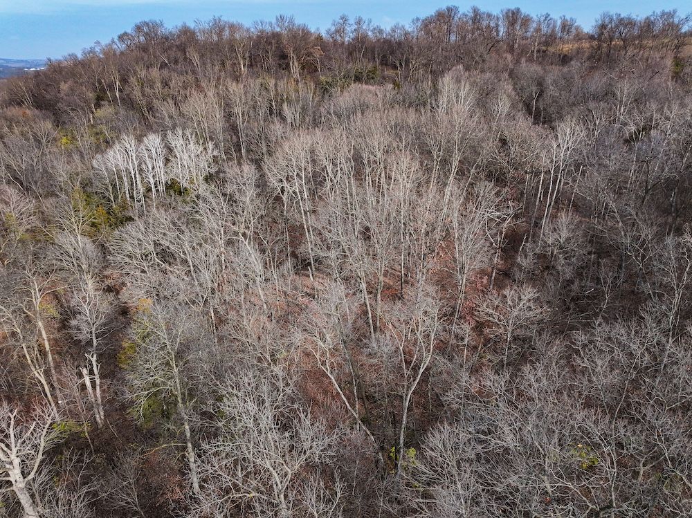 TBD Harvest Road, Edgewood, IA 52042 | LandWatch