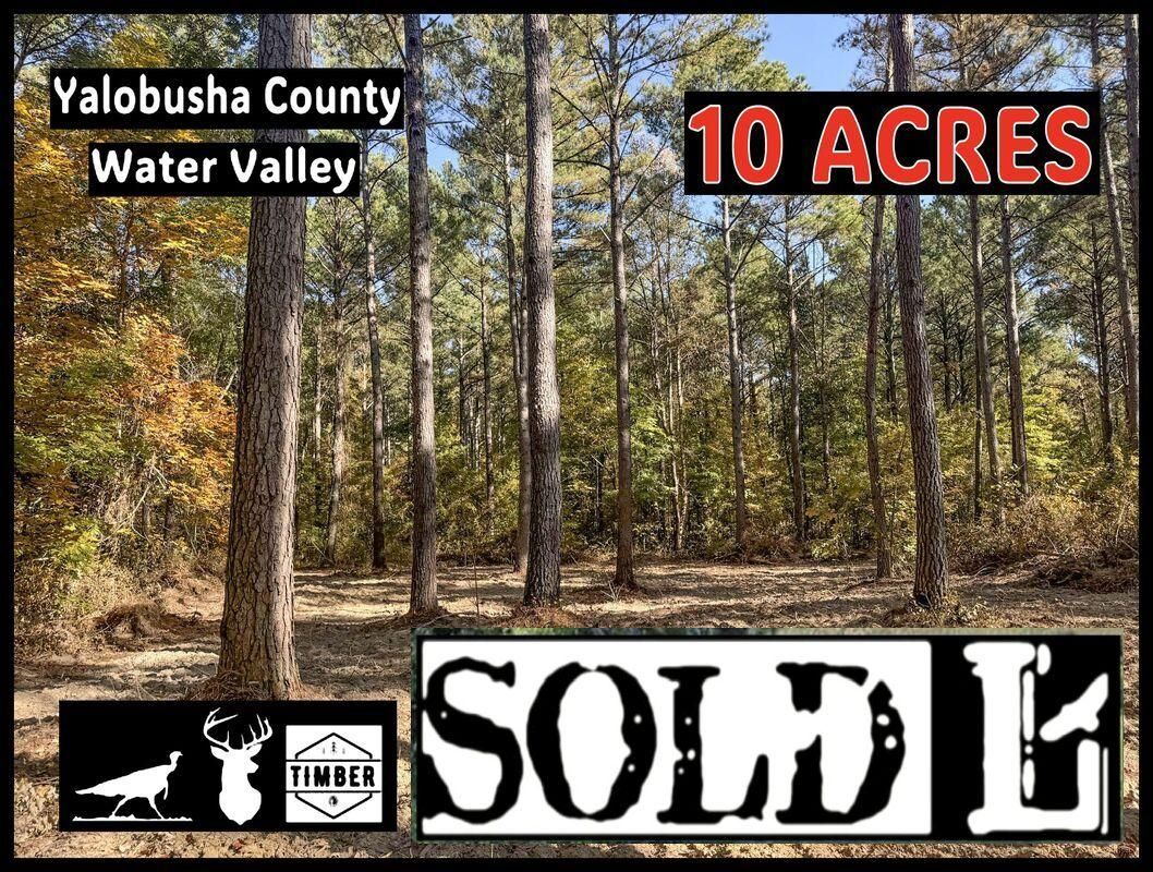 10 acres in Water Valley, MS, 38965 | LandWatch