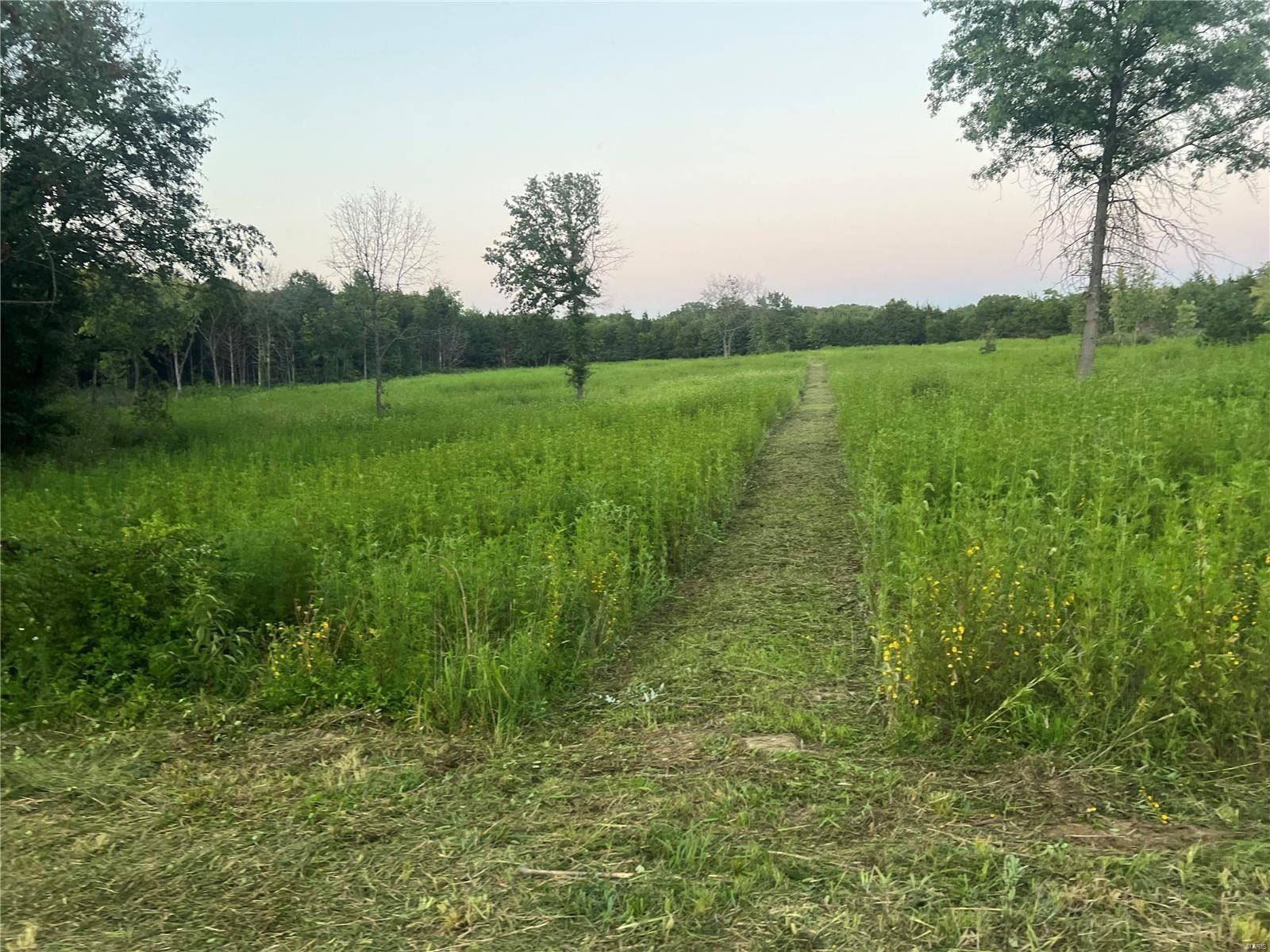 0 Mo-D, Hawk Point, MO 63349 | MLS: 24078510 | LandWatch
