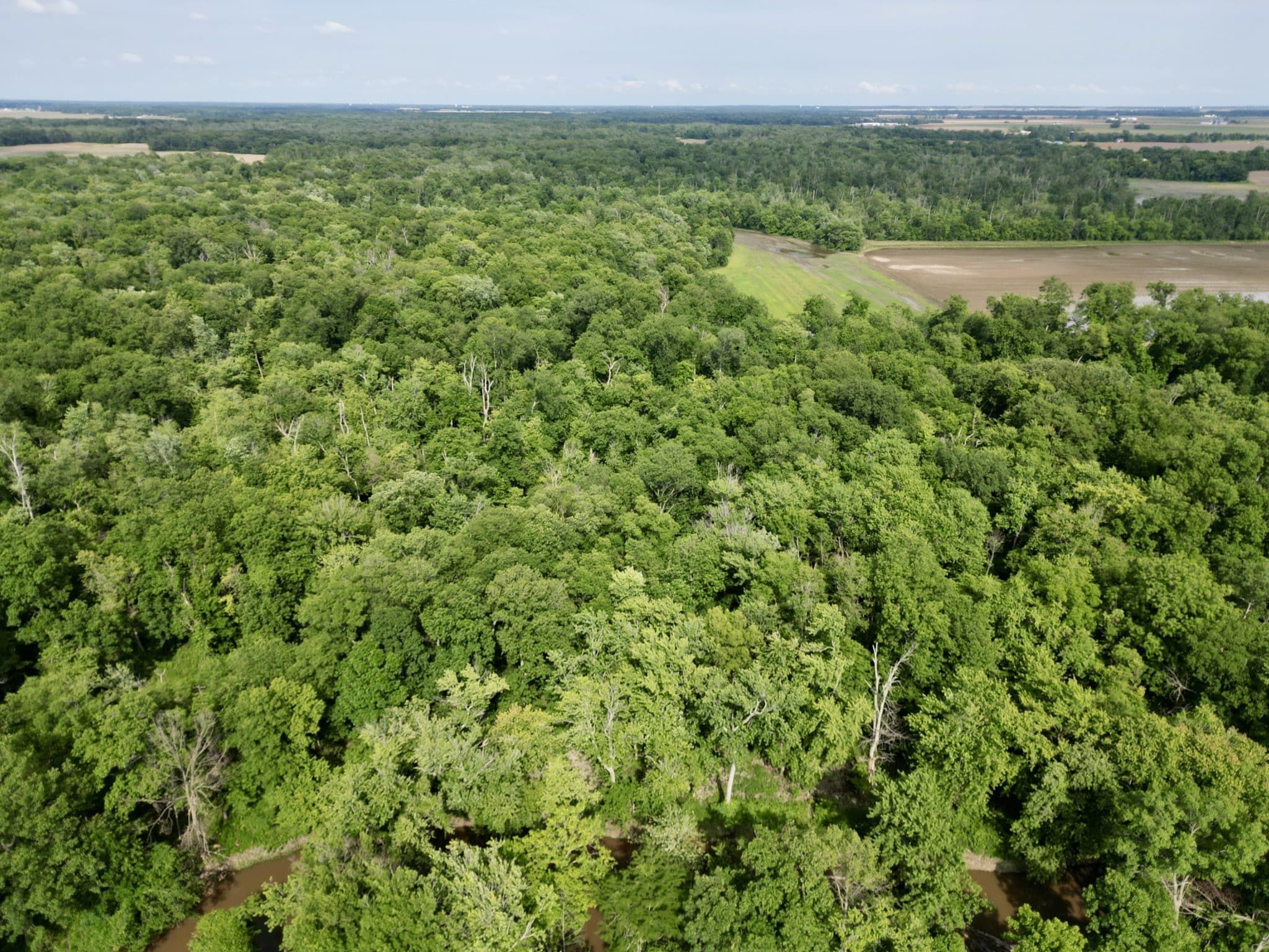 000 MAGNOLIA Road, Hoyleton, IL 62803 | LandWatch