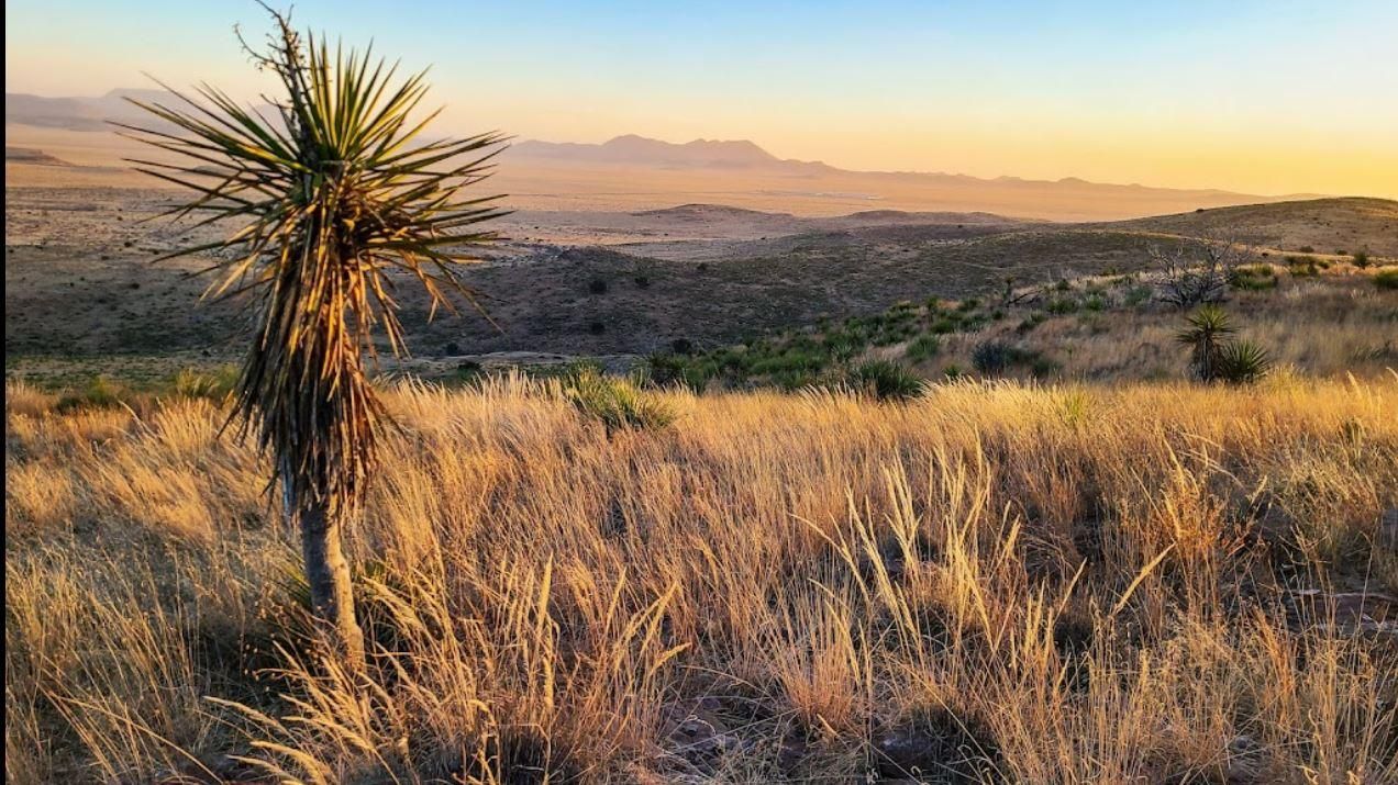 Coleman Rd, Presidio, TX 79845 | LandWatch