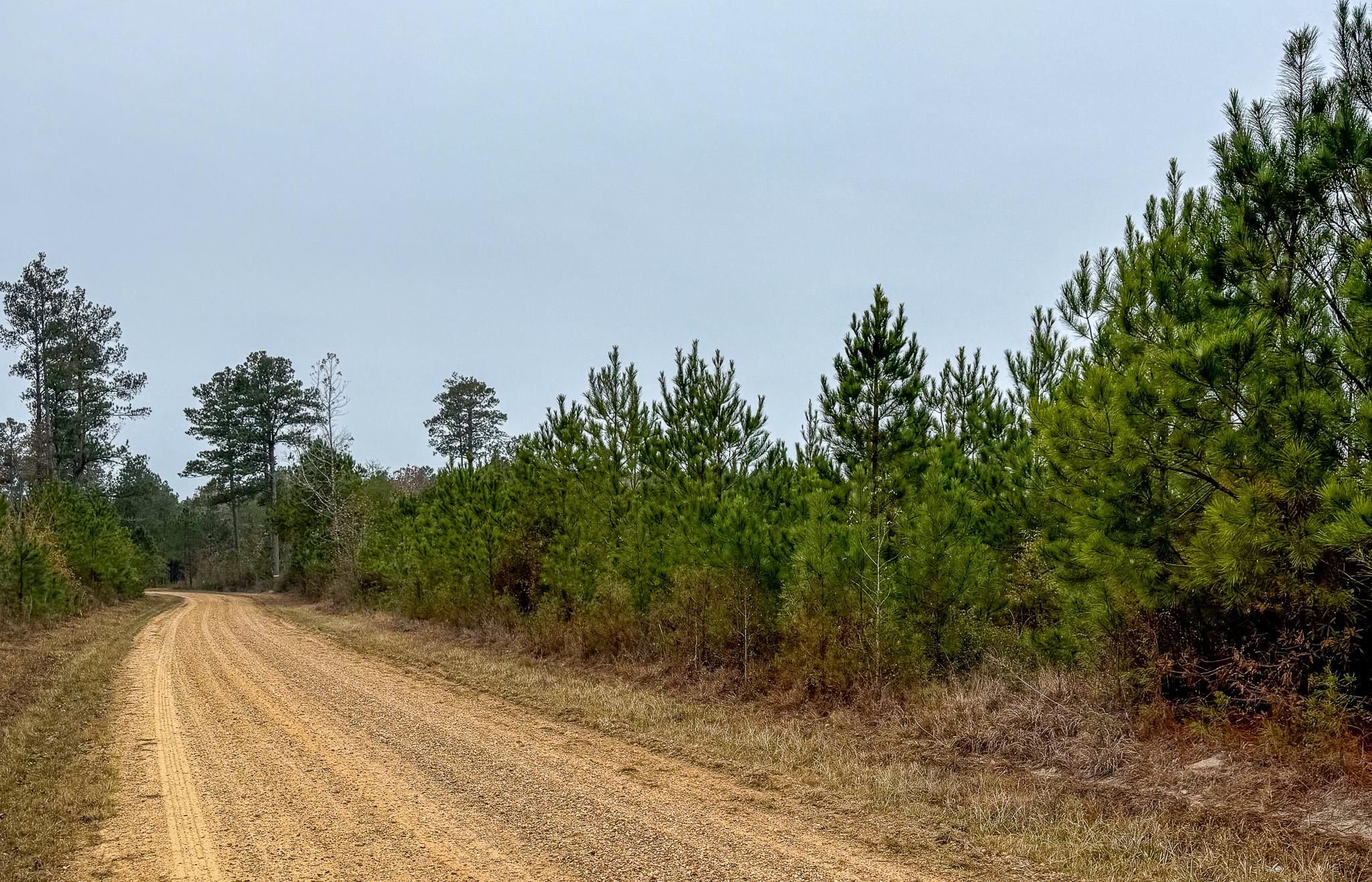 49.31 acres in Hampton, AR, 71744 | LandWatch