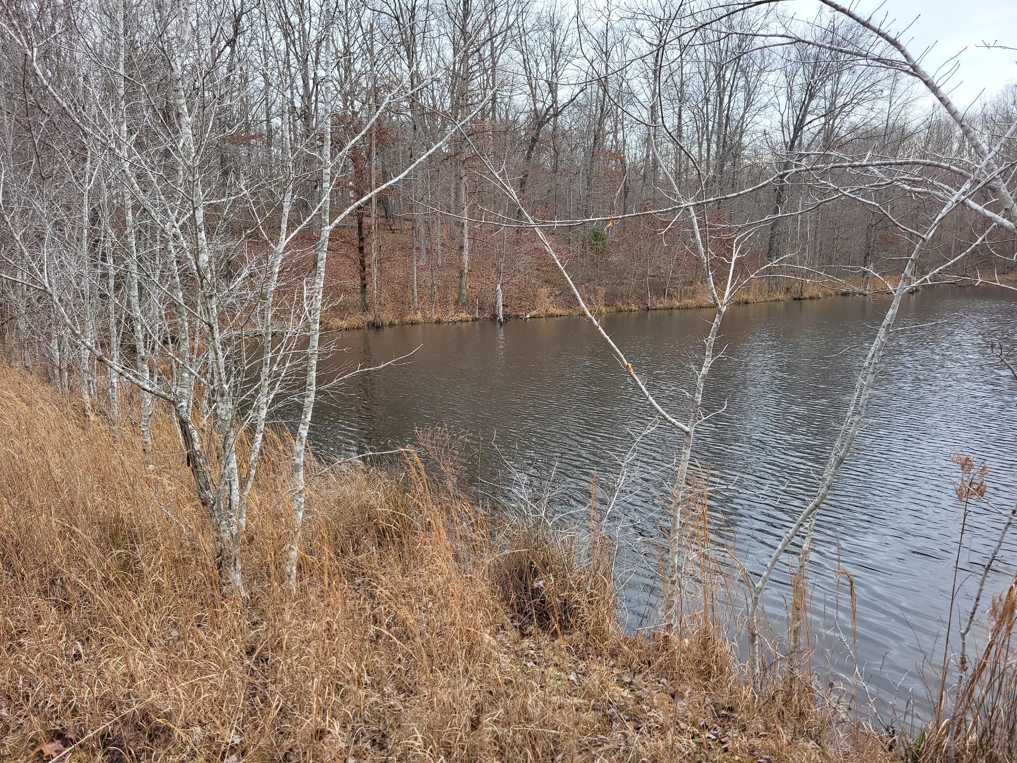 Lake Wood Cove, Dover, TN 37058 | MLS: 2772321 | LandWatch