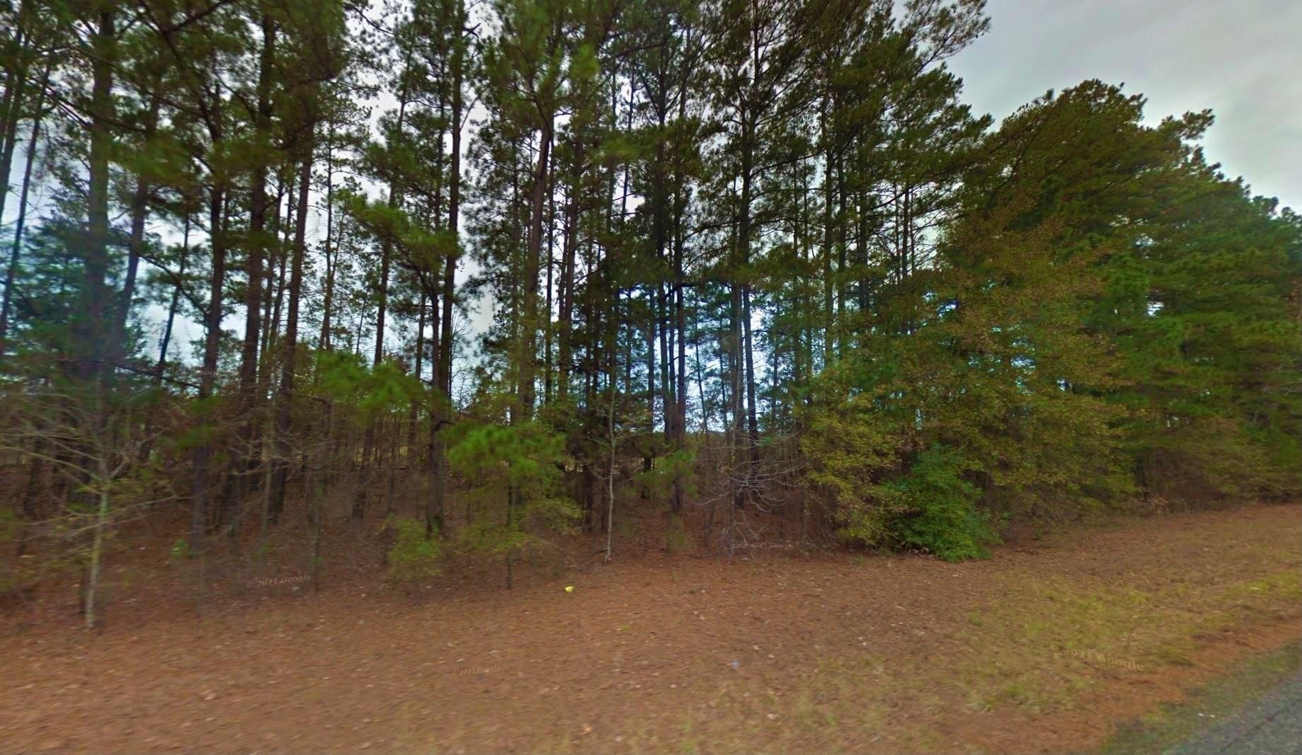 Elm Drive, Harleton, TX 75651 | LandWatch