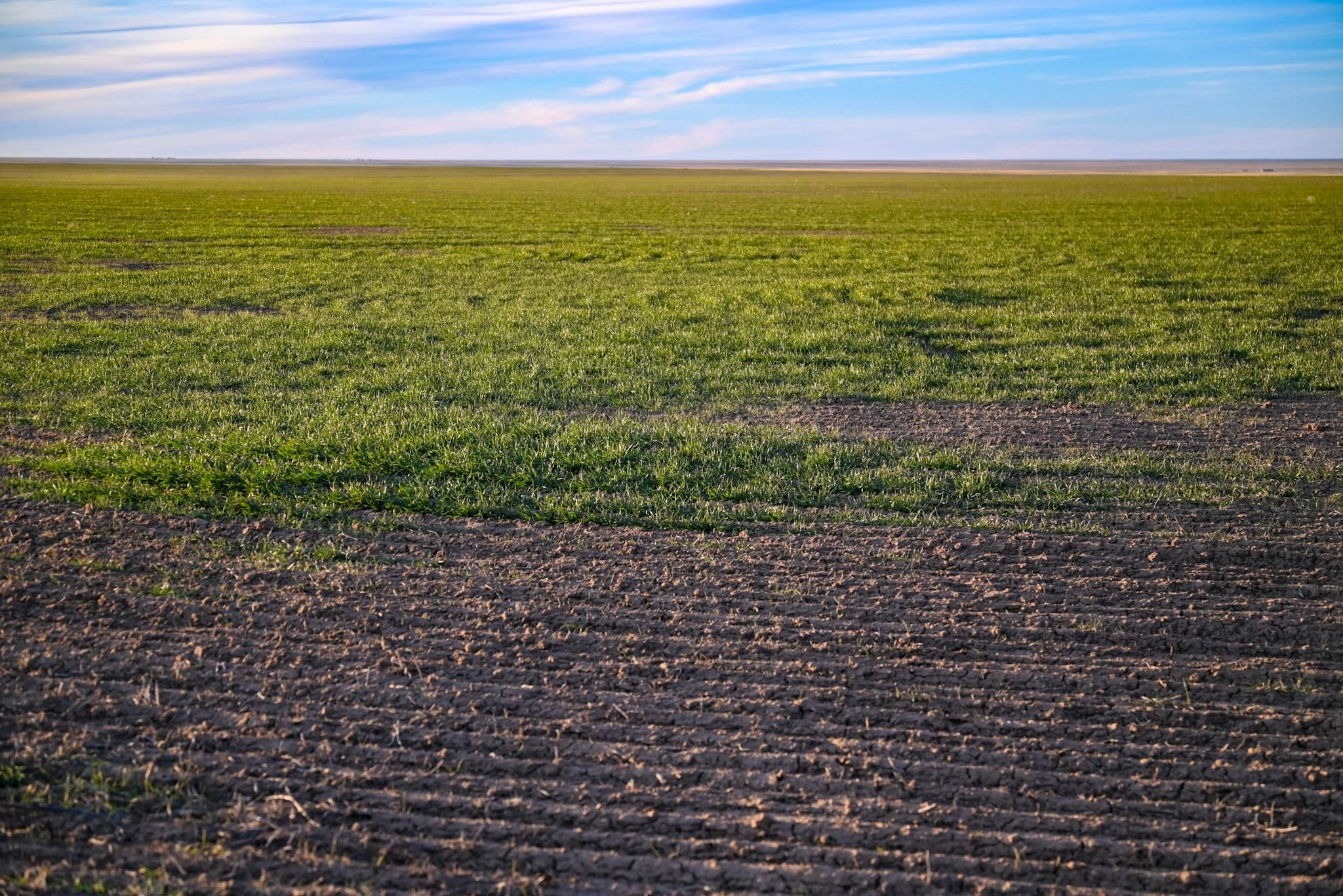 4,009 acres in Haswell, CO, 81045 | LandWatch