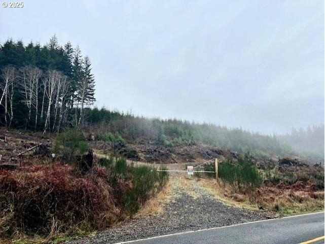 Highway 53, Seaside, OR 97138 | MLS: 423325972 | LandWatch