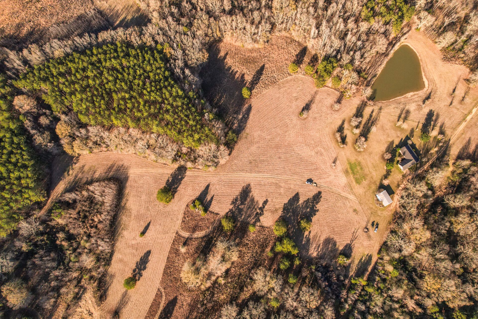 240 Acres, Holmes County, MS, Pickens, MS 39079 | LandWatch