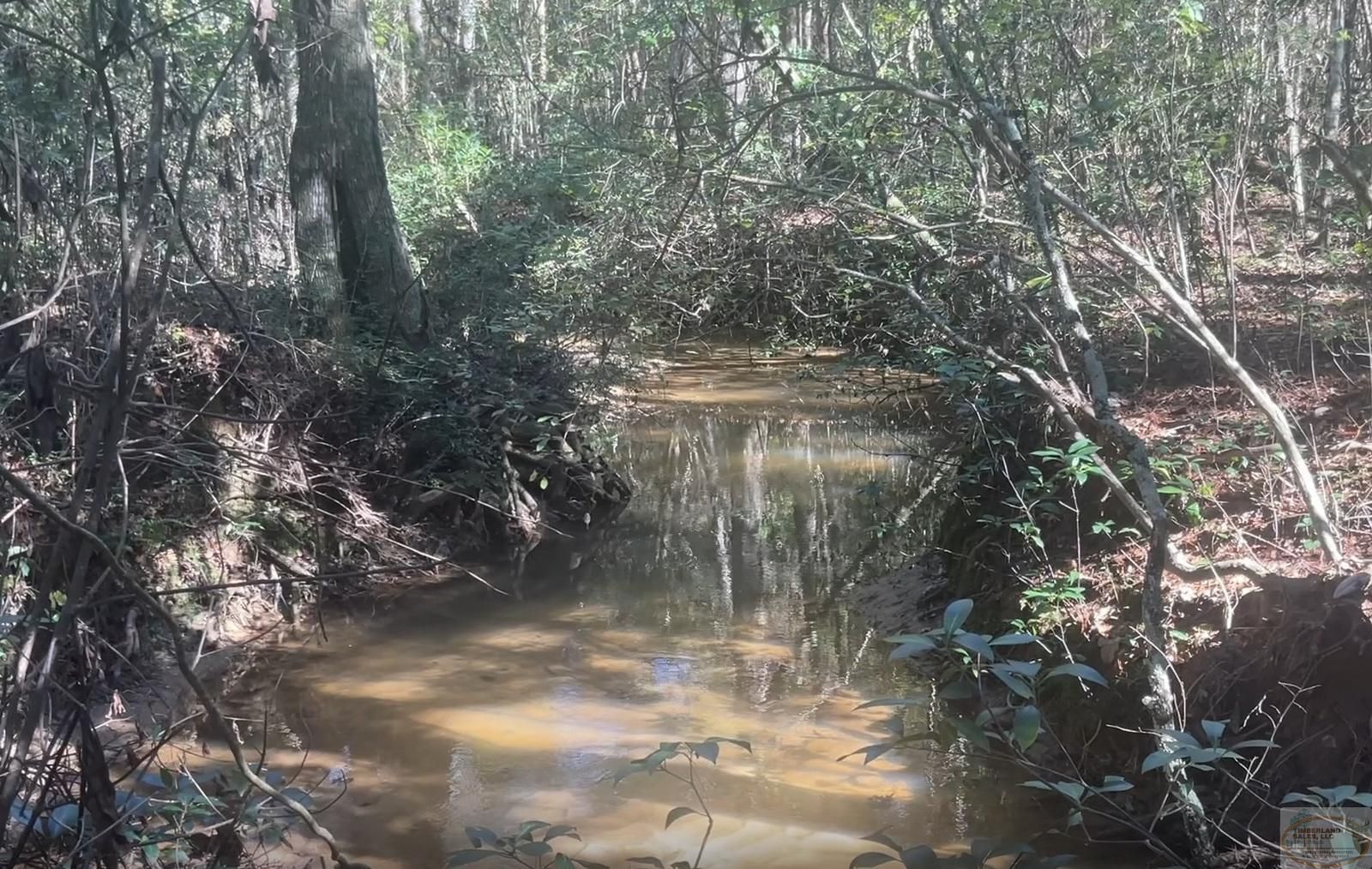 1200 State Highway 472, Pinola, MS 39149 | LandWatch