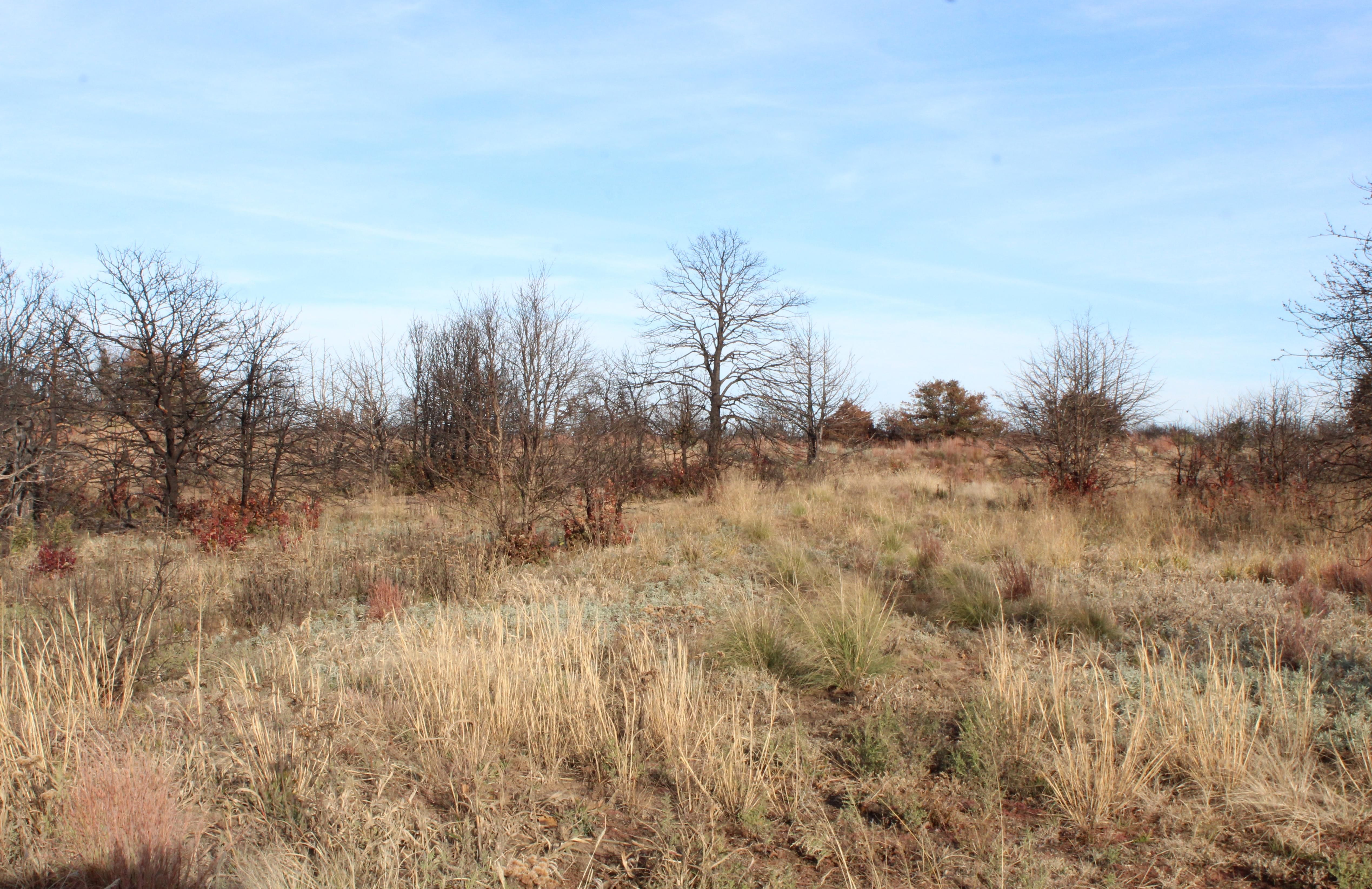 480 acres in Chester, OK, 73838 | LandWatch