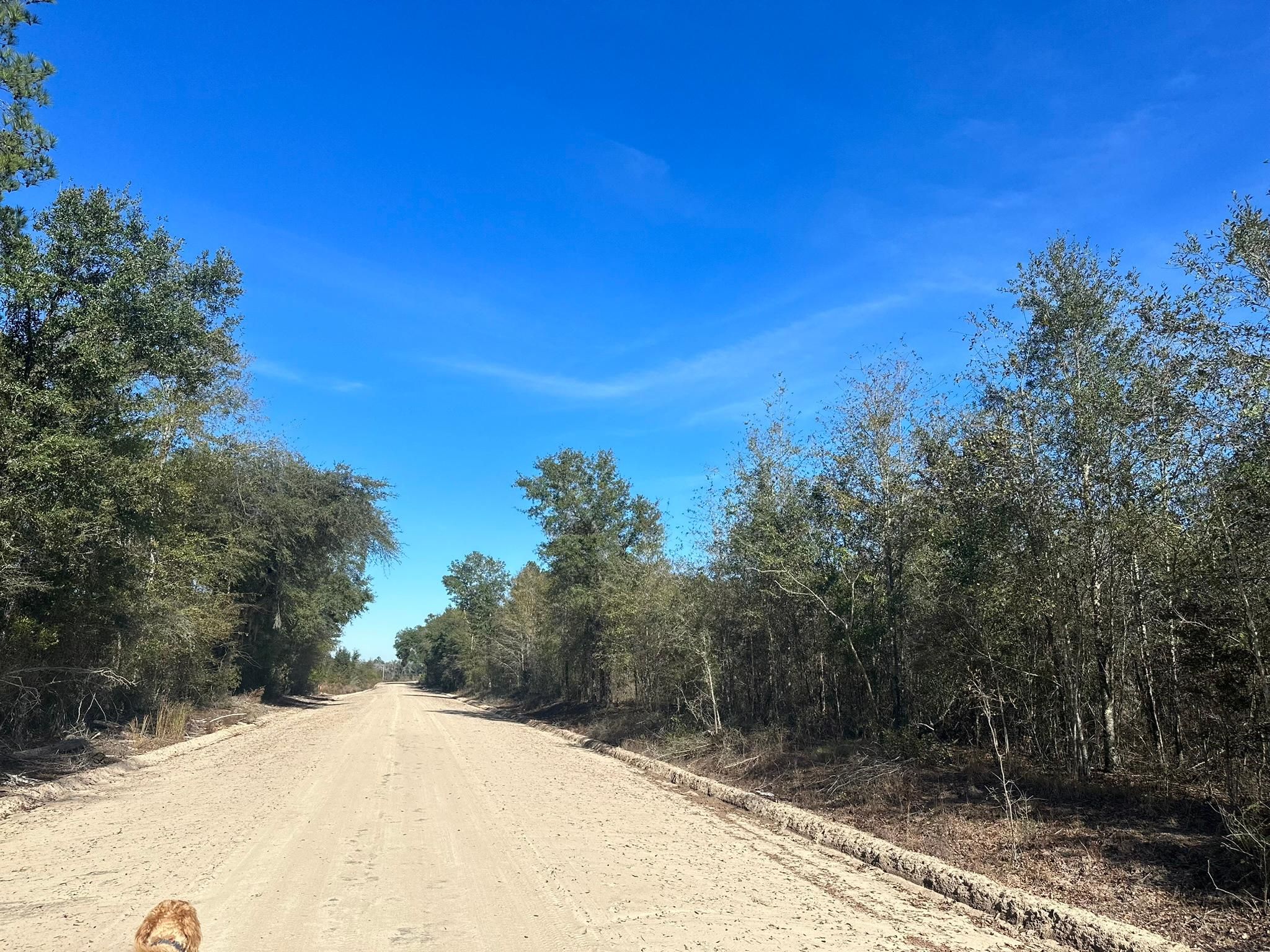 Pilgrim Church Rd, Gordon, AL 36343 | LandWatch