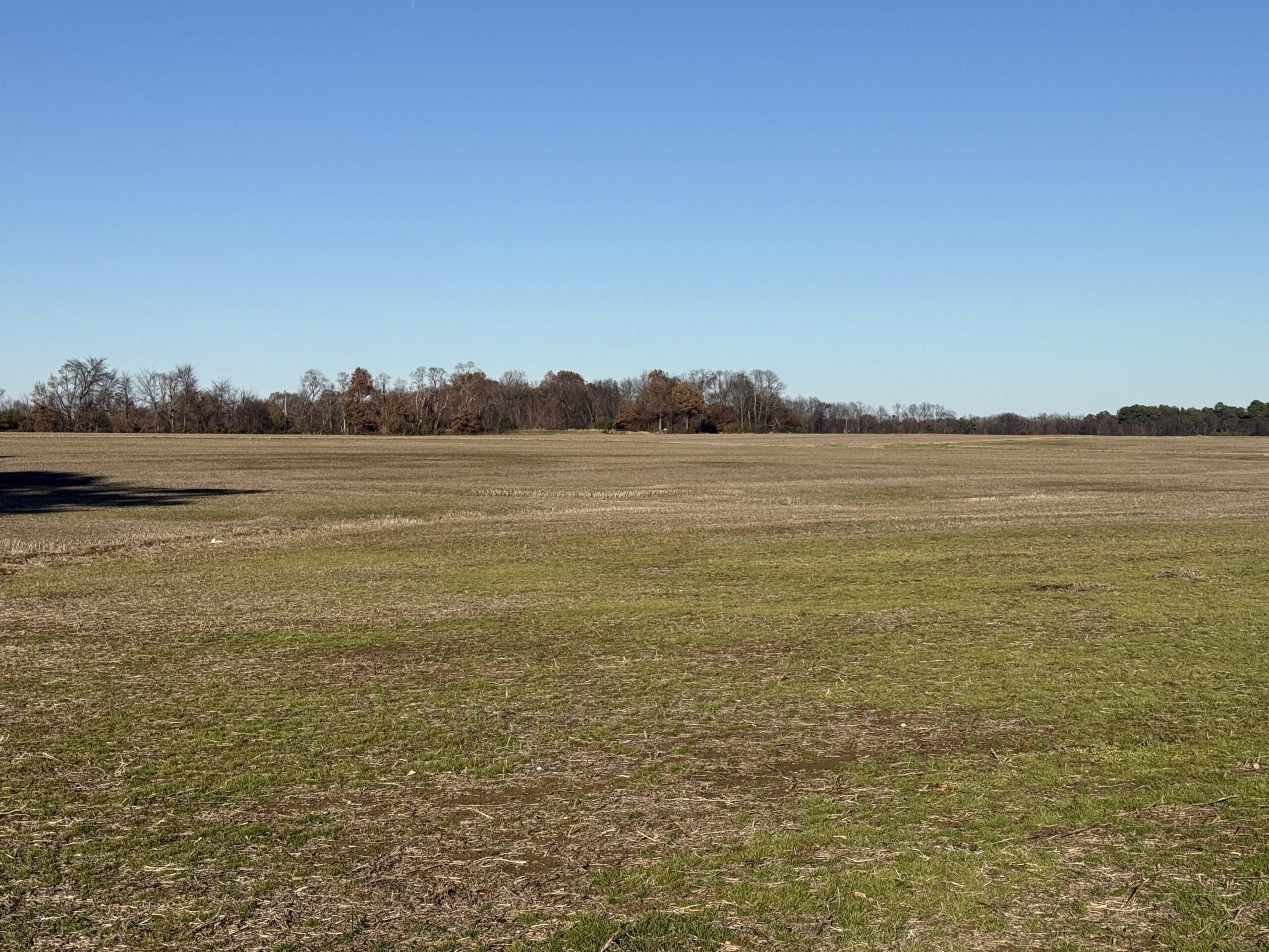 Coles Campground Road, Murray, KY 42071 | MLS: 134+/- ACRES IN ALMO KY ...