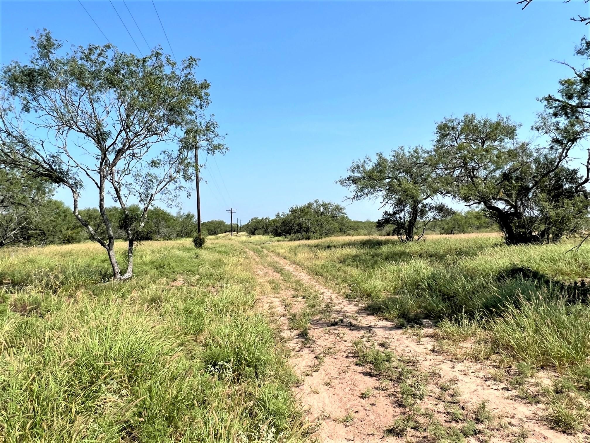 576 acres in Freer, TX, 78357 | LandWatch