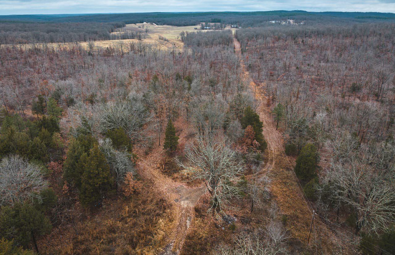 Ray Hicks Road, Viburnum, MO 65566 | MLS: 49137 | LandWatch