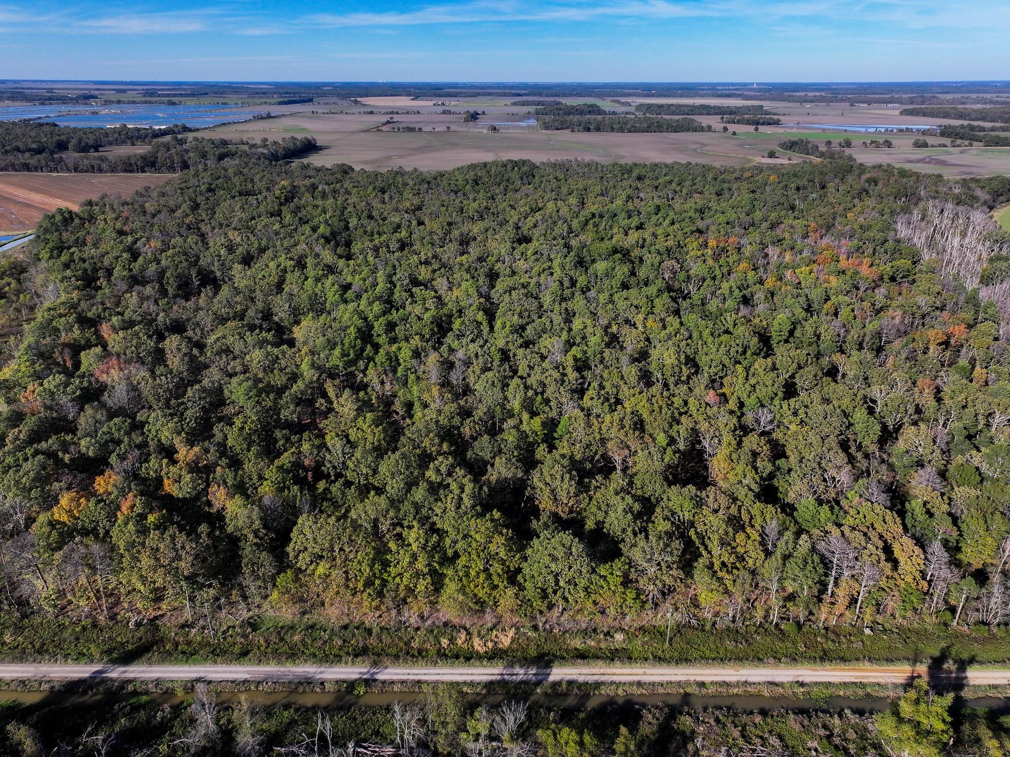 320 acres in Monroe, AR, 72021 | LandWatch