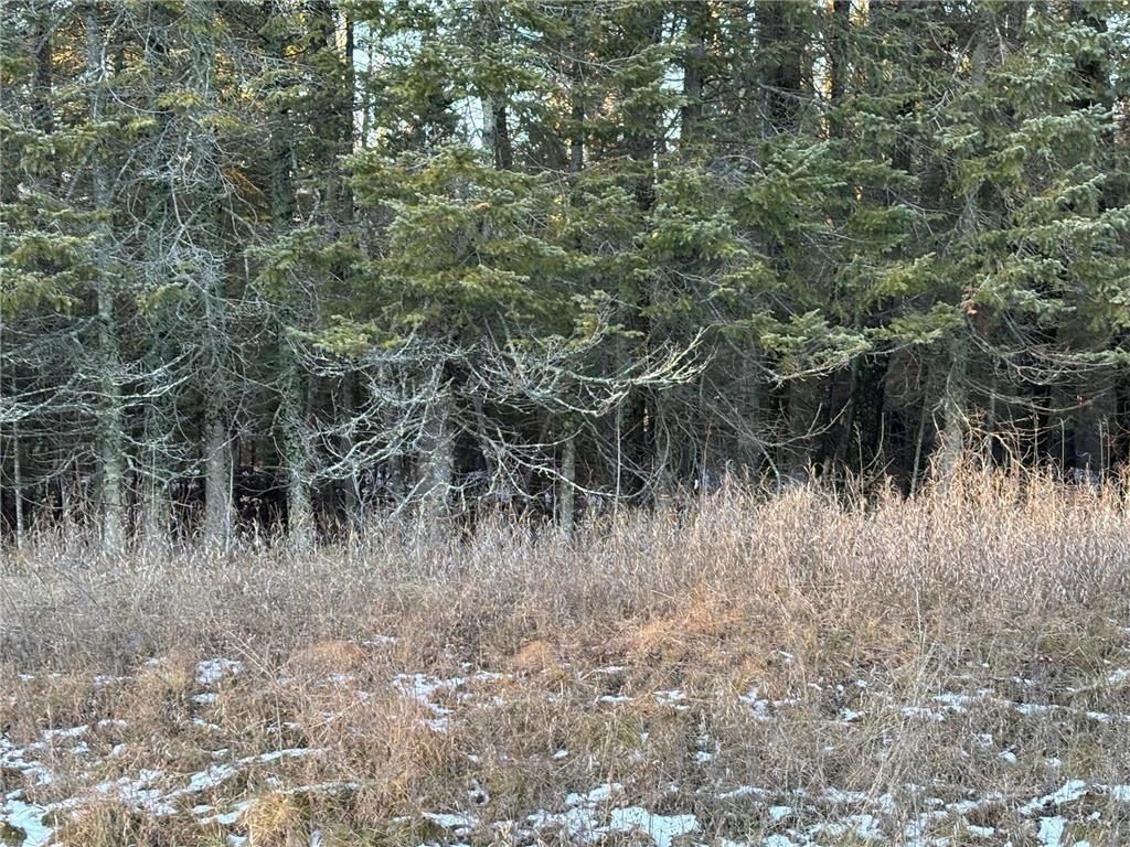 NW County 47, Brevik, MN 56655 | MLS: 6645236 | LandWatch