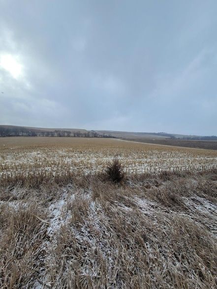 60 ACRES 380th Street, Hancock, IA 51536 | MLS: 23-2221 | LandWatch