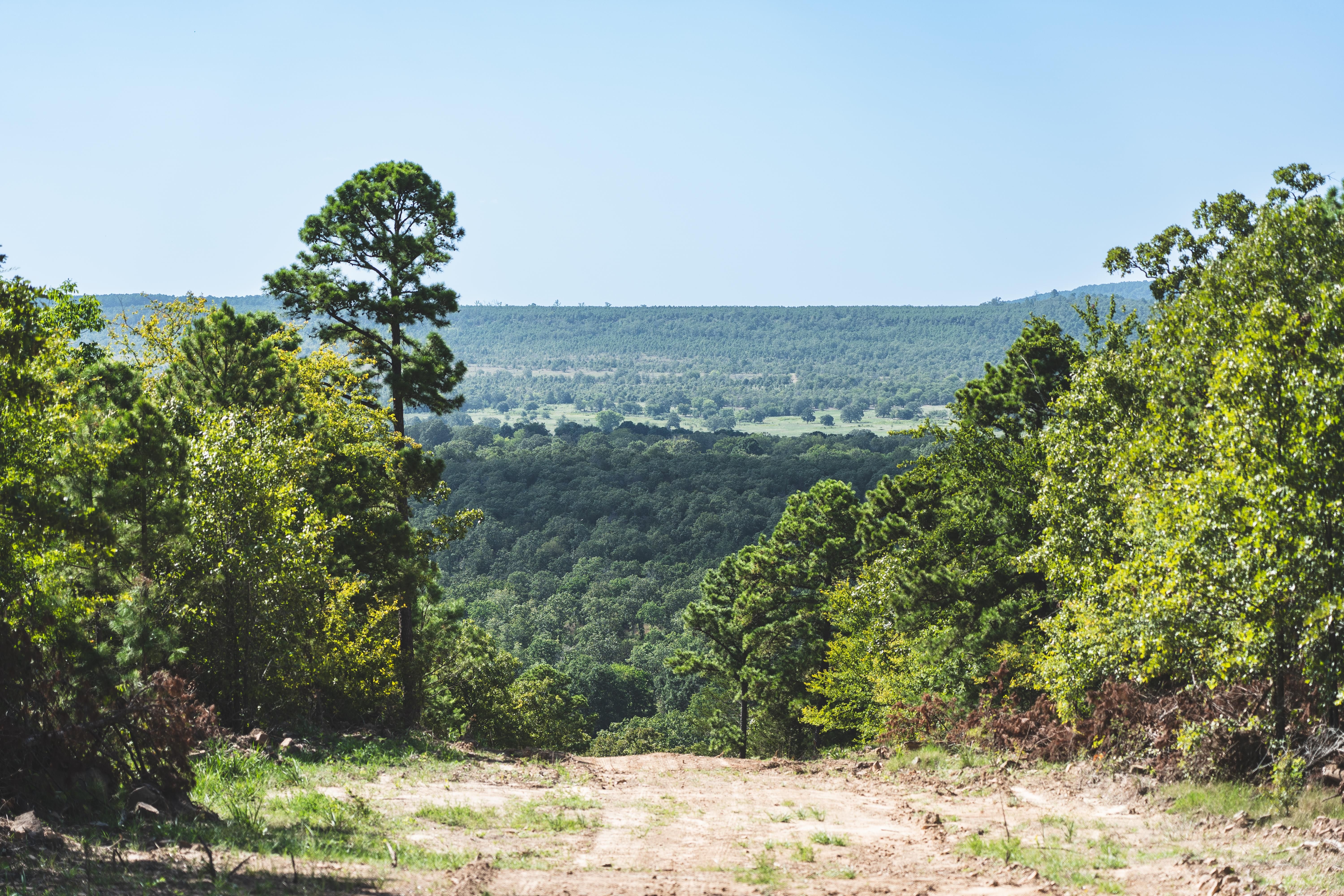 7,575 acres in Antlers, OK, 74523 | LandWatch