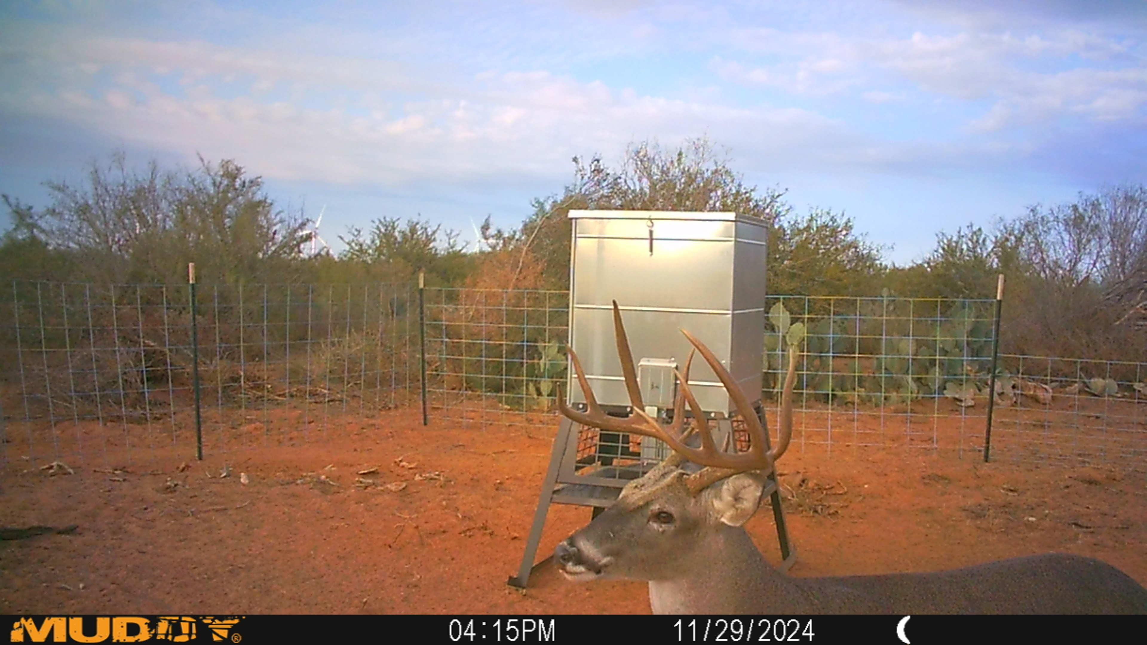 1,329 acres in Oilton, TX, 78371 | LandWatch