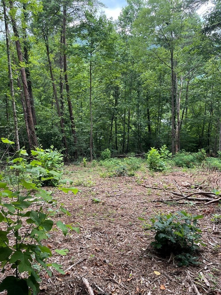 Jacobs Mountain Rd, Franklin, NC 28734 | MLS: 26039626 | LandWatch