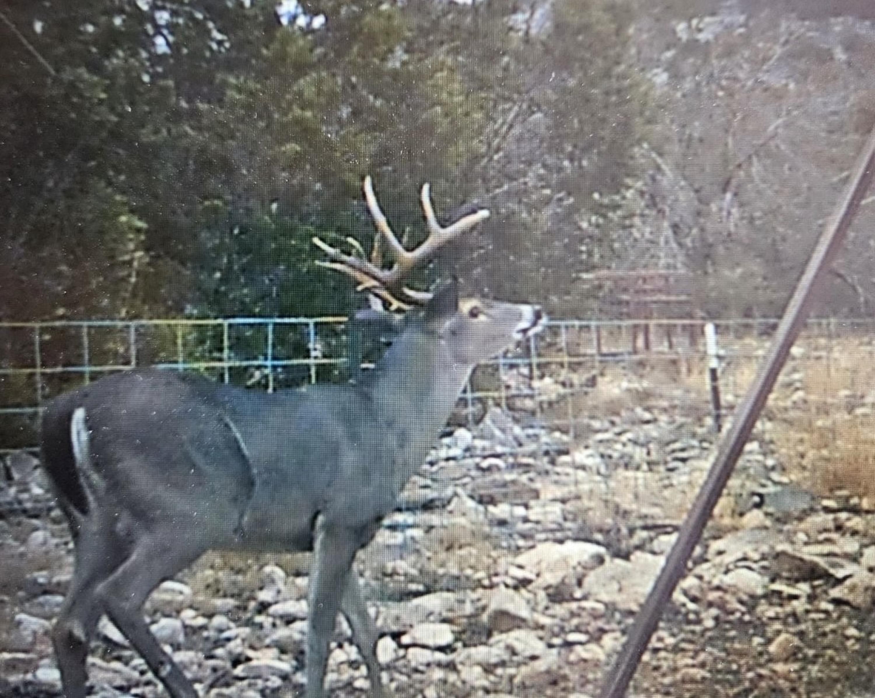 CR470, Rocksprings, TX 78880 | LandWatch