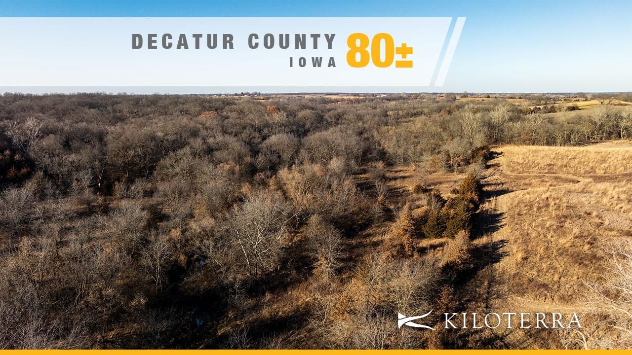 80 acres in Leon, IA, 50144 | MLS: 705175 | LandWatch