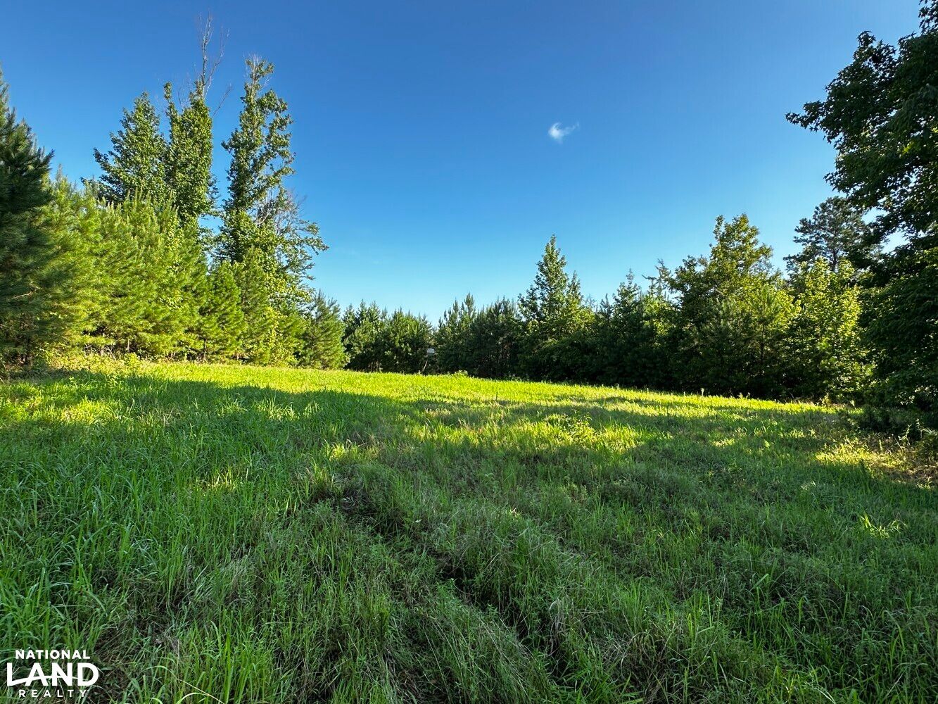 0 Co Rd 61, Pine Apple, AL 36768 | LandWatch