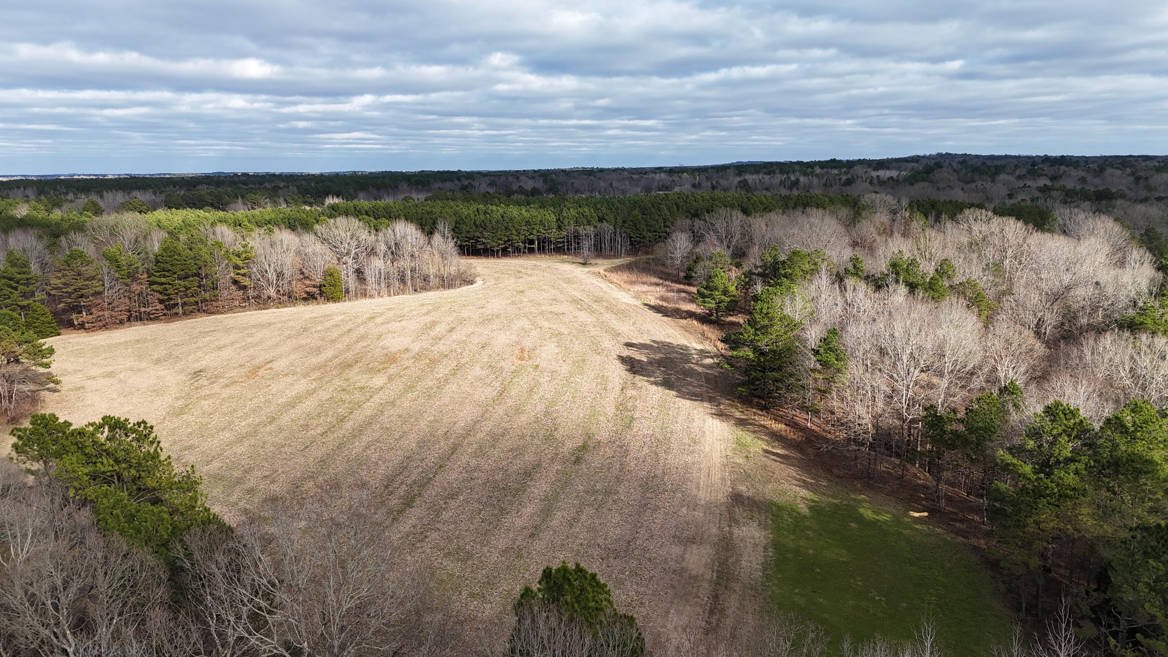 Witherspoon Road, Michigan City, MS 38647 | LandWatch