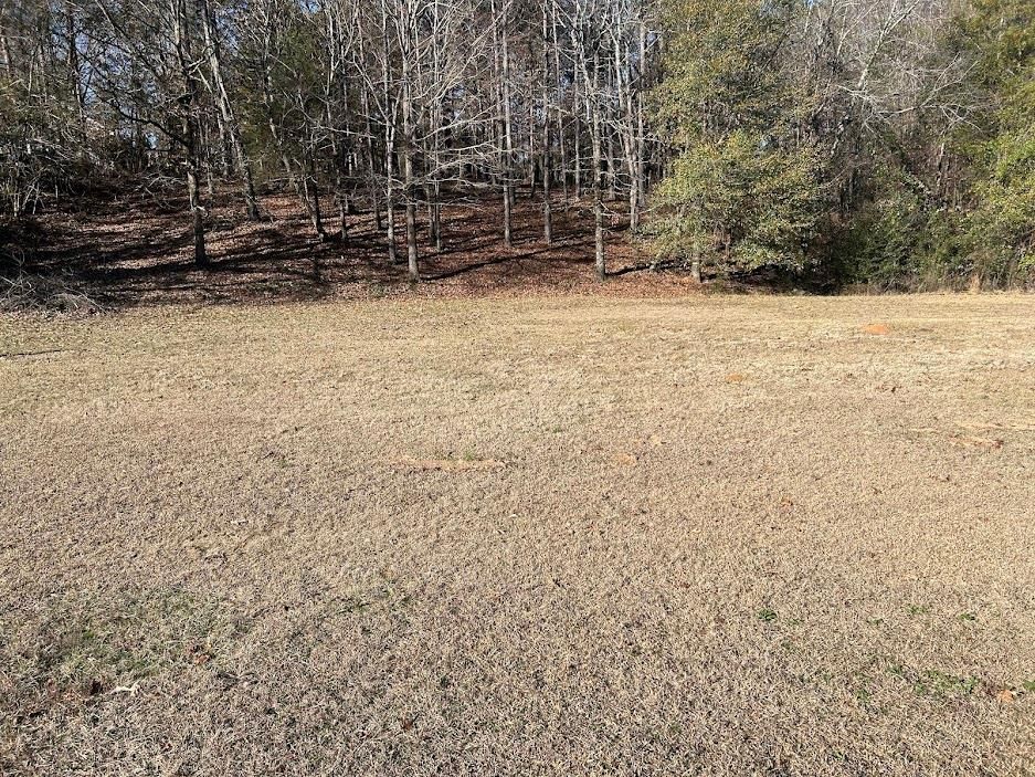 1325 Crows Pass, Prattville, AL 36067 | LandWatch