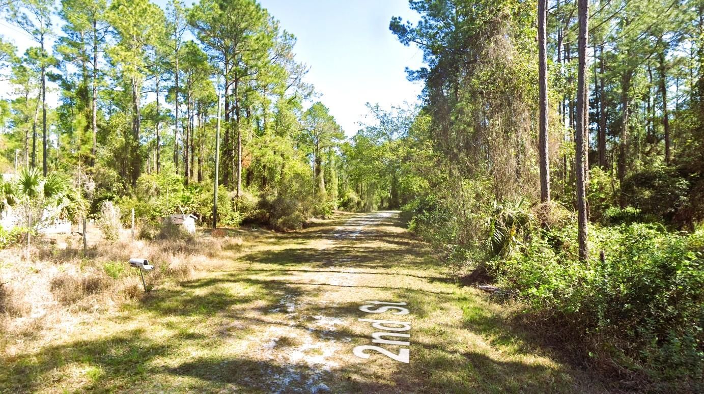 227 2nd St, Georgetown, FL 32139 | LandWatch