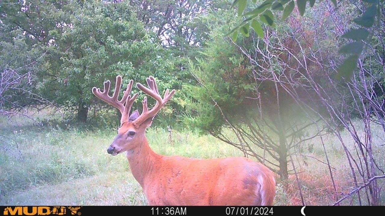 12238 Miller Rd, Harveyville, KS 66431 | LandWatch