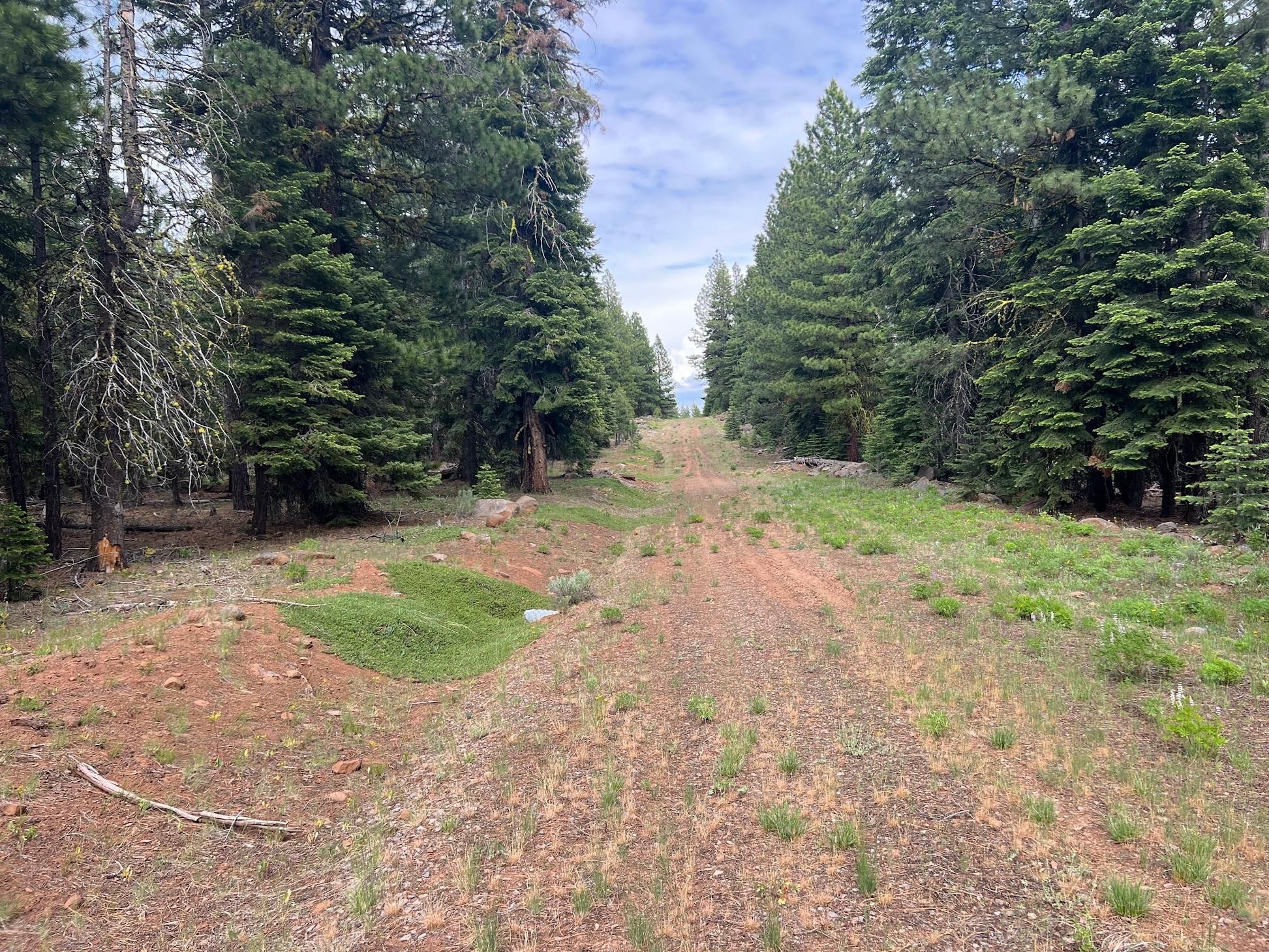 Kettle Place, Alturas, CA 96101 | LandWatch