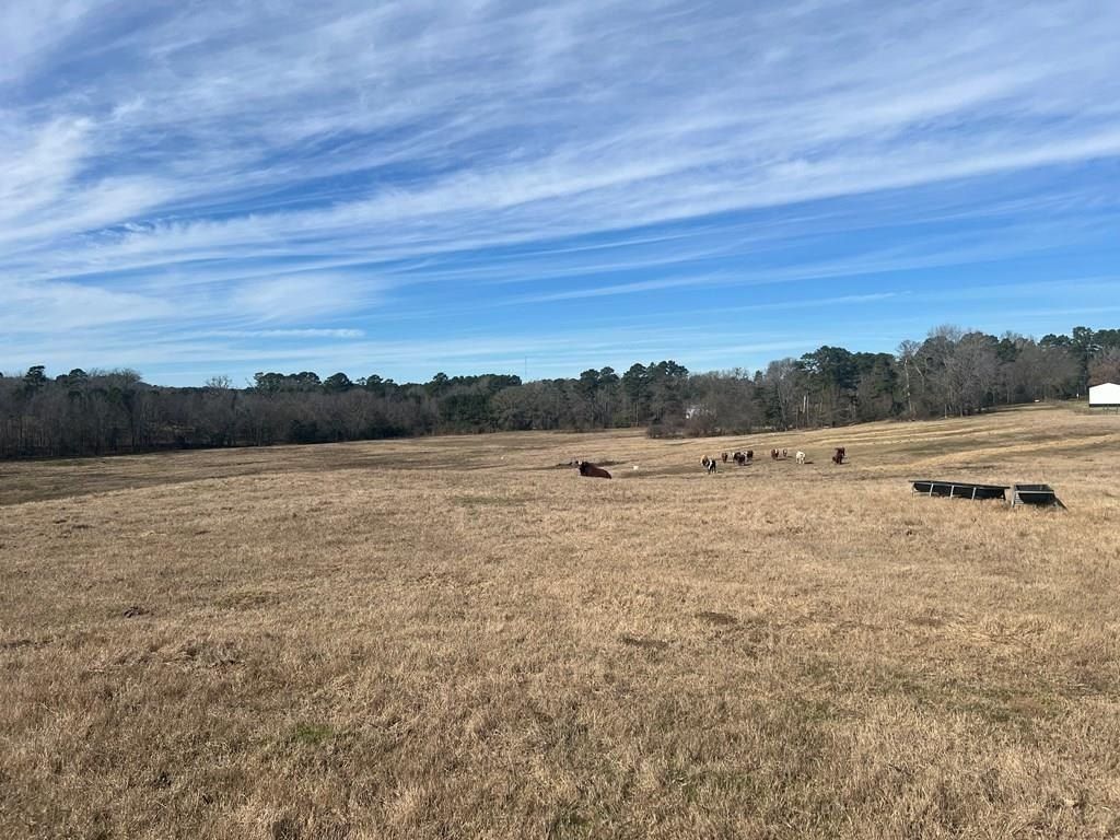 0 An County Road 370, Palestine, TX 75801 | MLS: 100635 | LandWatch