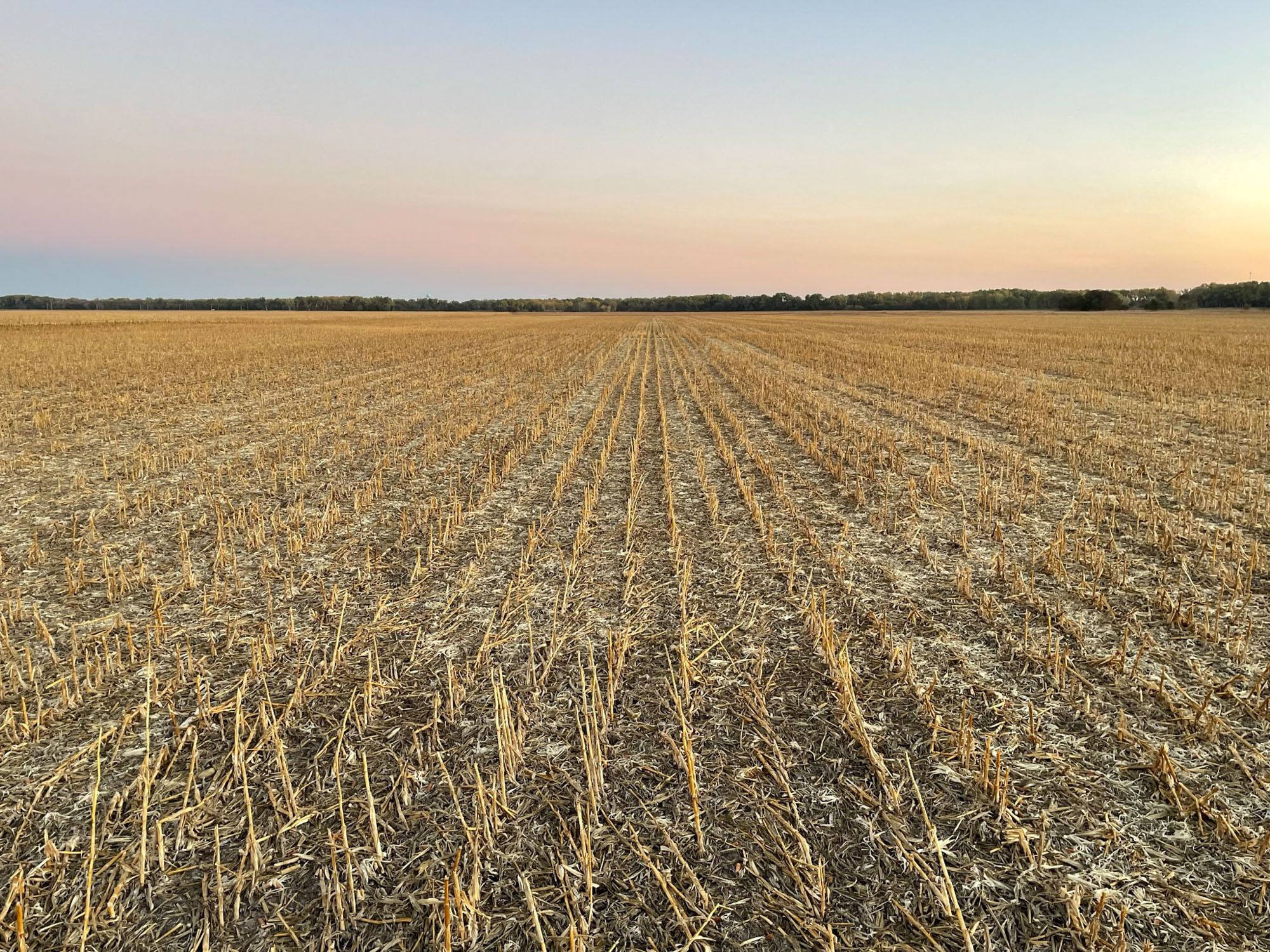 292.79 acres in Clyde, KS, 66938 | LandWatch