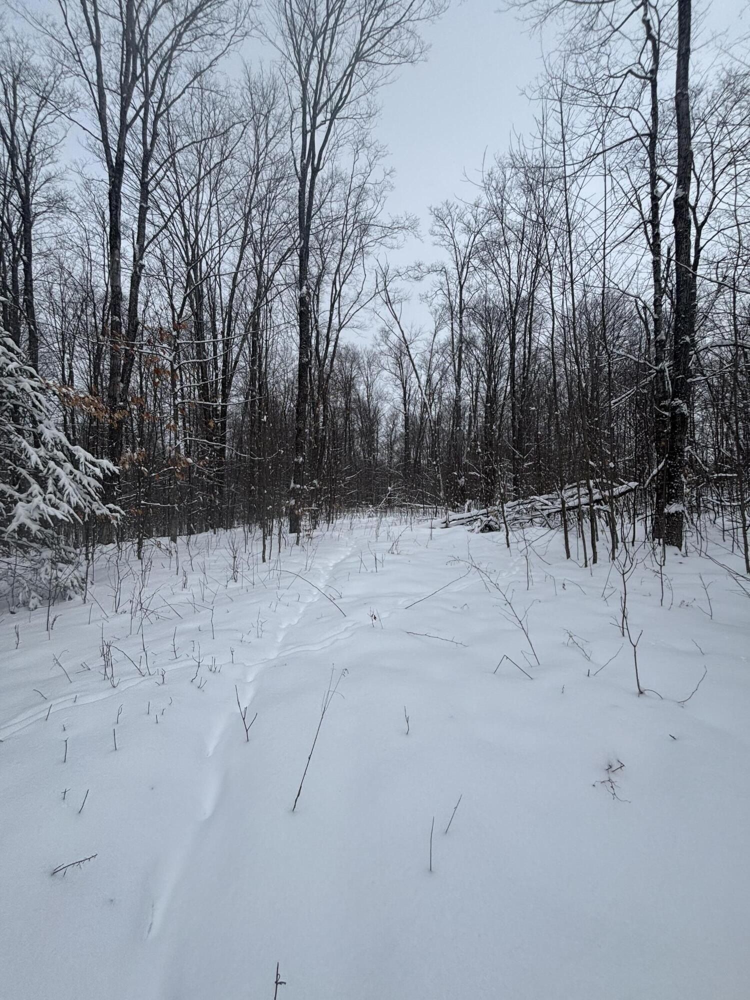 Tbd W Poglese RD, Hessel, MI 49745 | MLS: 25-34 | LandWatch