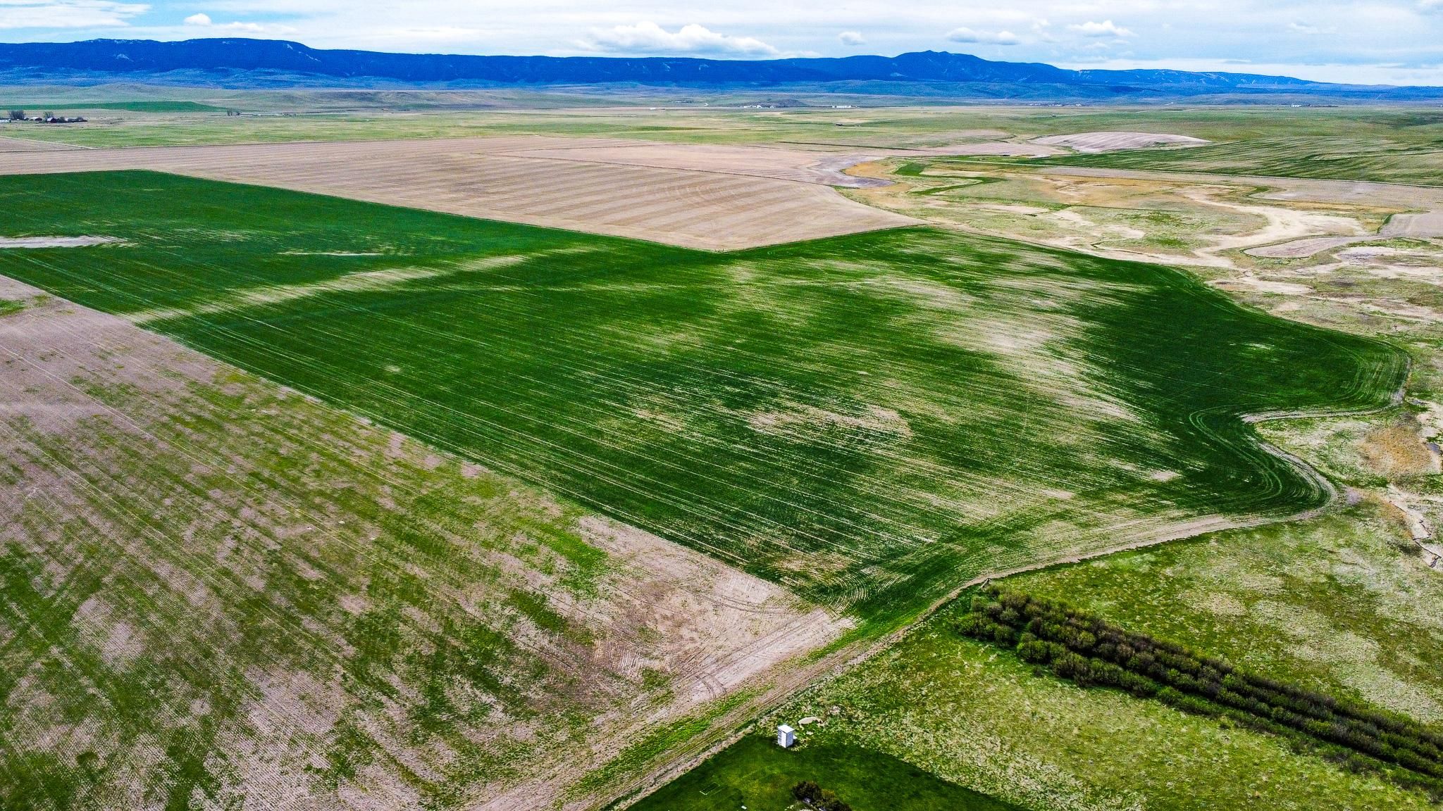 719.67 acres in Buffalo, MT, 59418 | MLS: Judith Basin Farm Ground ...