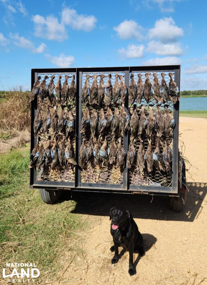 0 CO RD 12, Faunsdale, AL 36738 | LandWatch