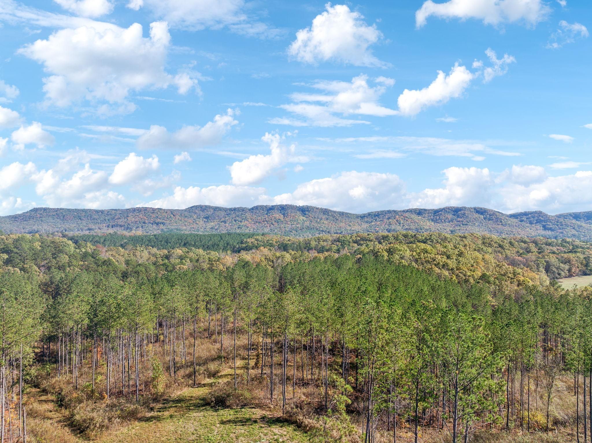 County Road 62, Gaylesville, AL 35973 | LandWatch